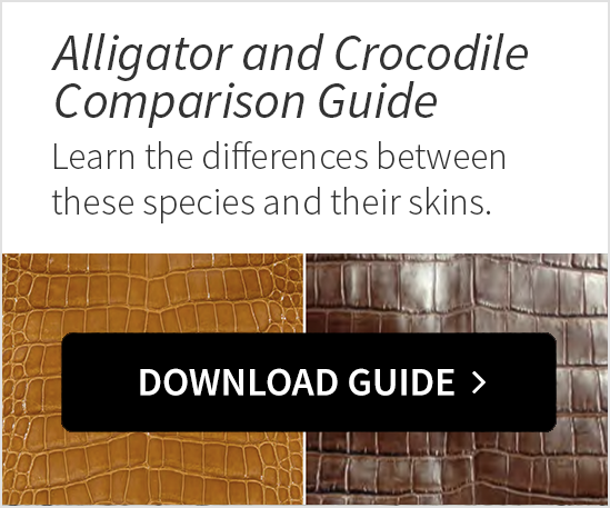 Alligator Skin and Python Skin For Sale | Pan American Leathers