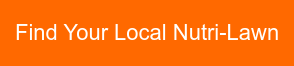 Ecology Friendly Lawn Care & Weed Control | Nutri-Lawn