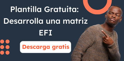 Matriz EFI: qué es, para qué sirve, cómo se crea y ejemplos