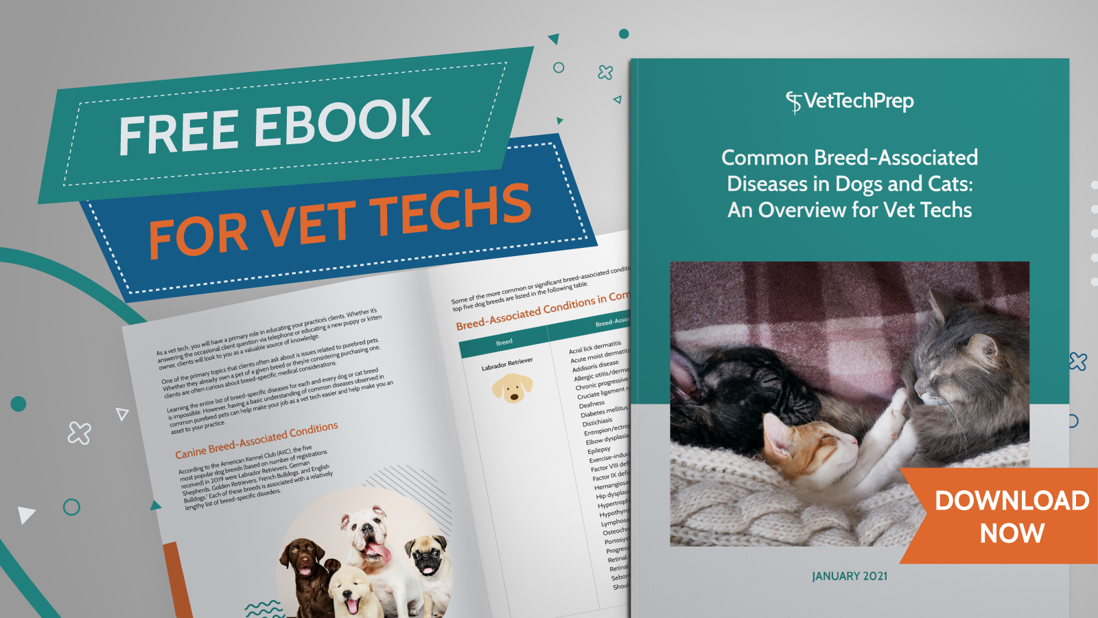 Controlled Drug Logs: FAQs for Vet Techs